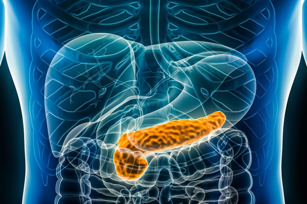 Pancreas | Functions, Diseases, and How to Keep it Healthy
